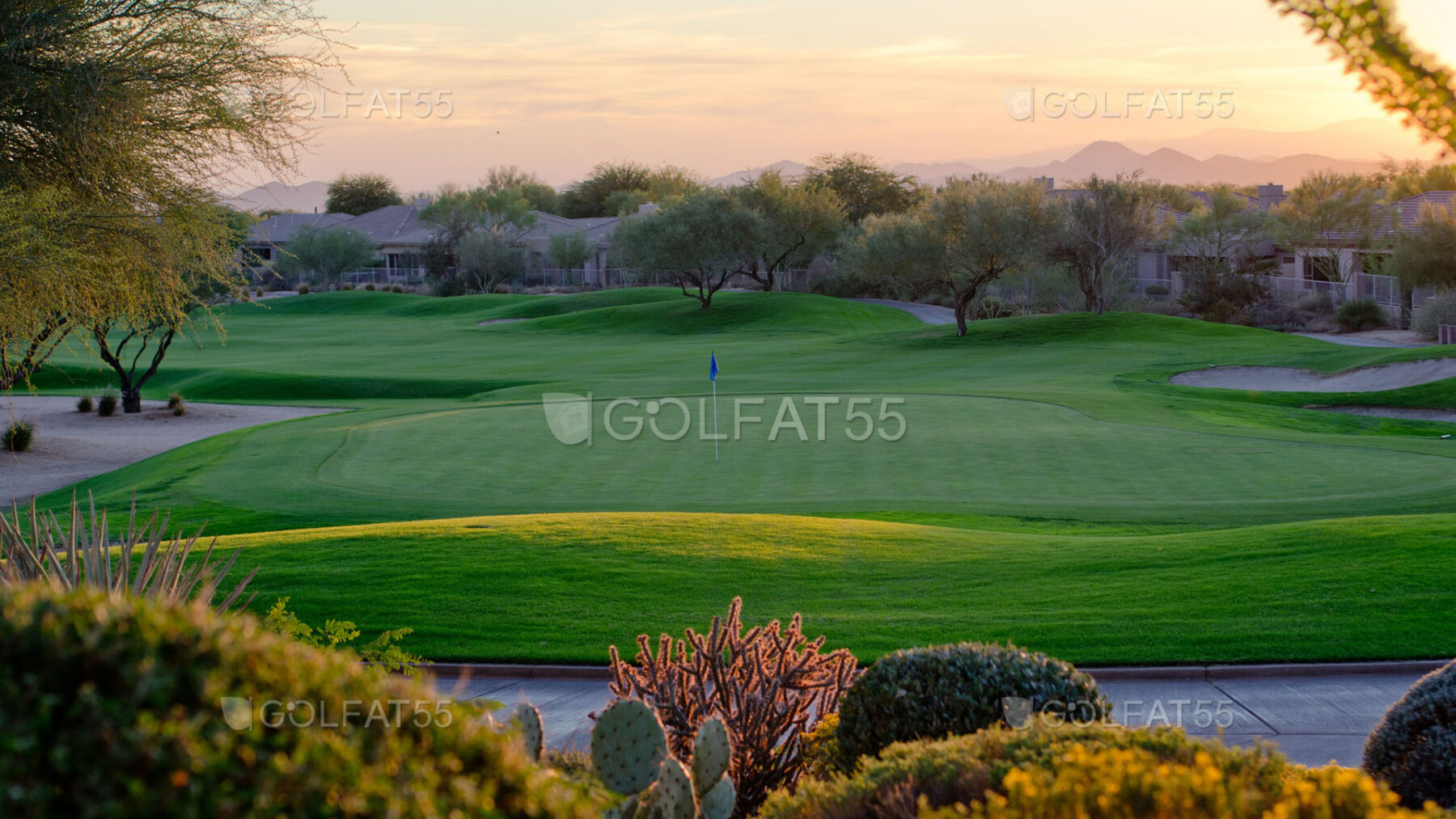 Golf Info - Terravita Golf & Country Club in Scottsdale AZ